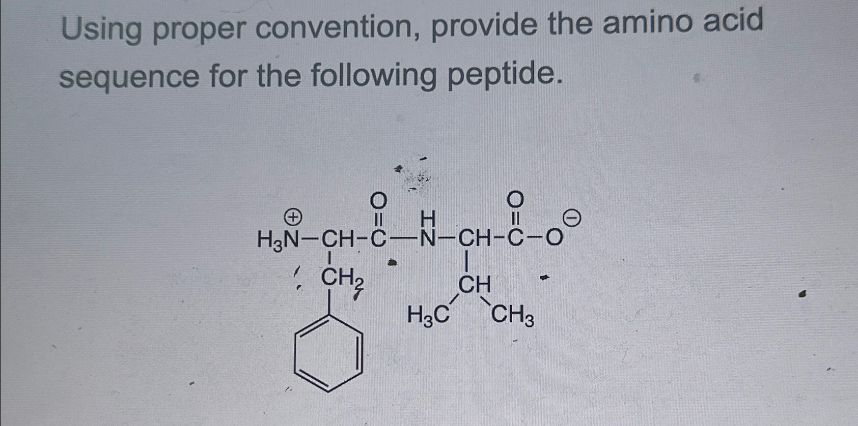 Solved Using proper convention, provide the amino acid | Chegg.com