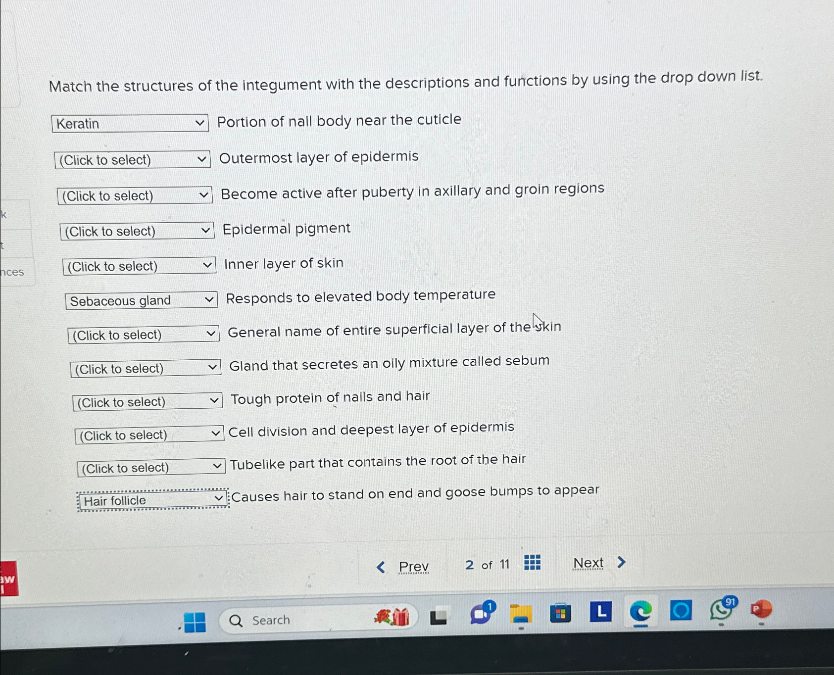 Solved Match the structures of the integument with the | Chegg.com