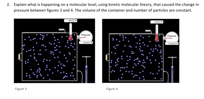 Solved 2. Explain what is happening on a molecular level, | Chegg.com