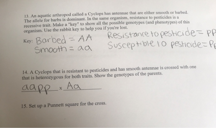 Solved 13. An aquatic arthropod called a Cyclops has | Chegg.com