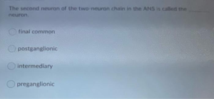 Solved The second neuron of the two neuron chain in the ANS | Chegg.com