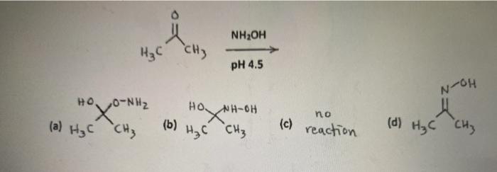 Solved NH4OH на сн pH 4.5 HON HONA-H HOO-NH₂ (а) не си нох | Chegg.com