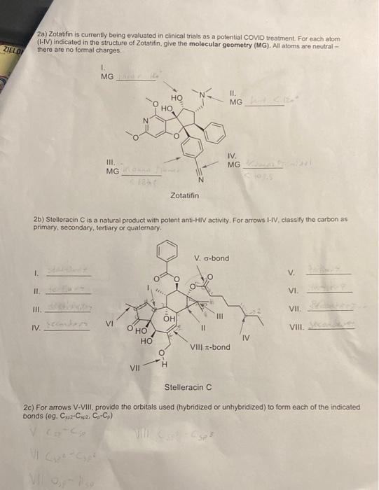 Solved 2a) Zotatifin is currently being evaluated in | Chegg.com