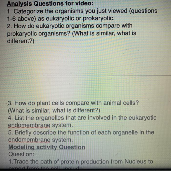 Solved InstructionsPost your cell modeling activity pictures | Chegg.com