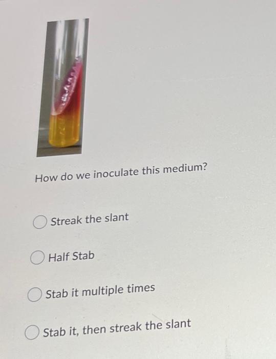 Solved How do we inoculate this medium? Streak the slant O | Chegg.com