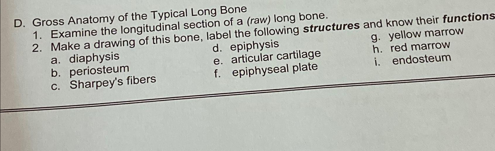 Solved D. ﻿Gross Anatomy of the Typical Long BoneExamine the | Chegg.com