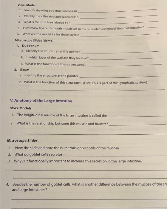 Villus Model 1. Identify the villus structure labeled | Chegg.com