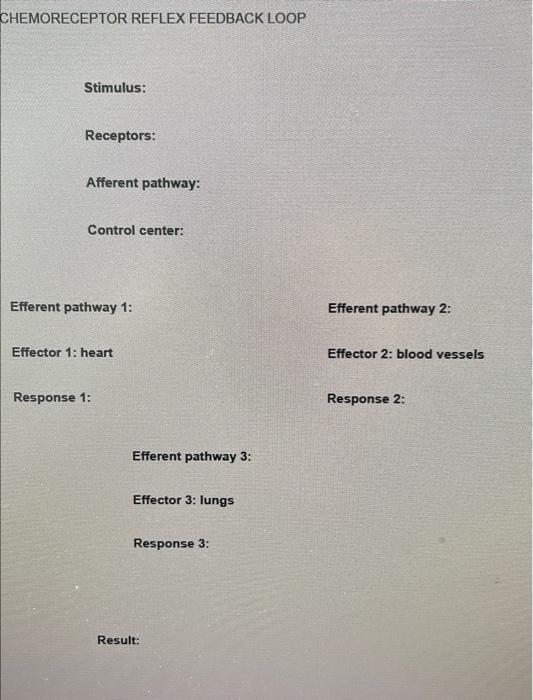 Solved CHEMORECEPTOR REFLEX FEEDBACK LOOP Stimulus: | Chegg.com