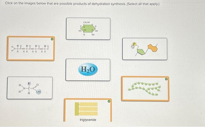 Solved Click on the images below that are possible products | Chegg.com