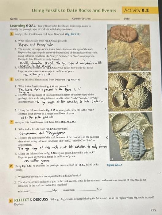 Solved Learning GOAL You will use indes fossils asd theie | Chegg.com