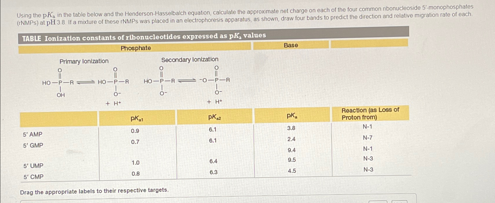 Solved Using the pK_(a) in the table below and the | Chegg.com