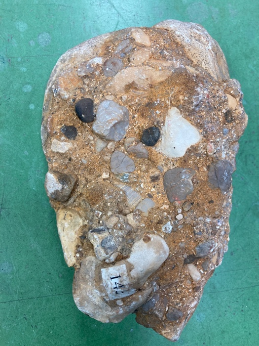 Solved 14-c What is the color of the specimen? What is the | Chegg.com