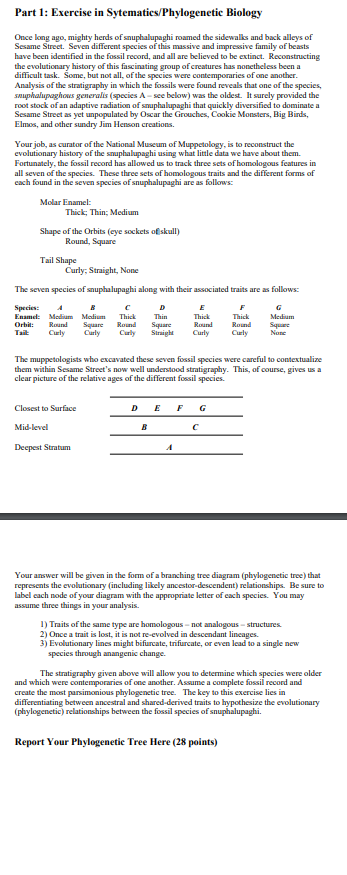 Solved Part 1: Exercise in Sytematics/Phylogenetic | Chegg.com