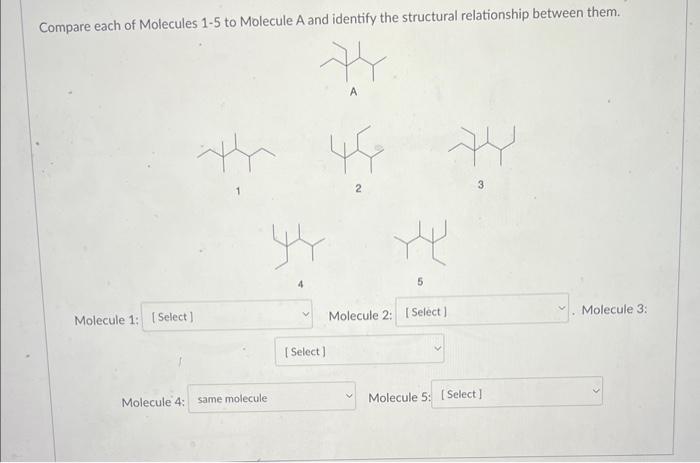 Solved Compare each of Molecules 1-5 to Molecule A and | Chegg.com