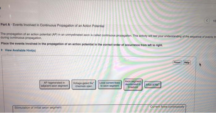 Solved Part A - Events Involved in Continuous Propagation of | Chegg.com