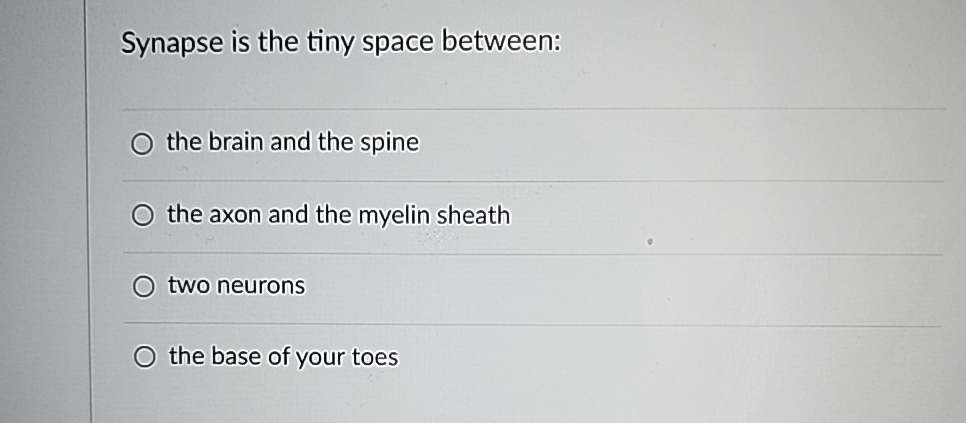 Solved Synapse is the tiny space between:the brain and the | Chegg.com