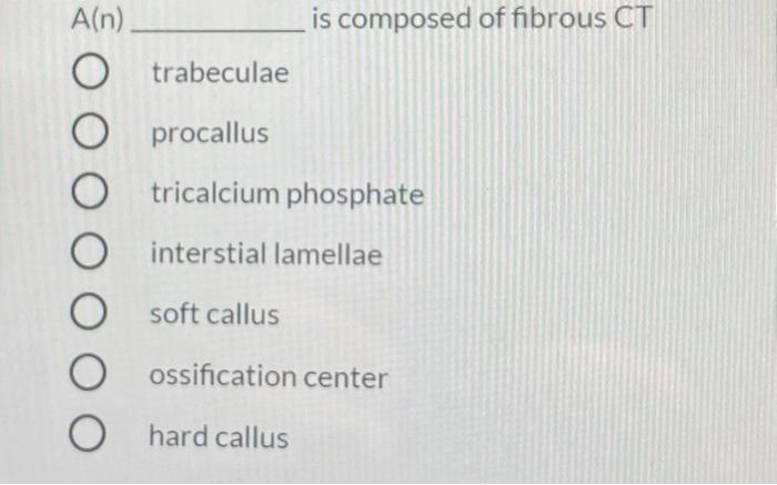Solved A(n) is composed of fibrous CT O trabeculae O | Chegg.com