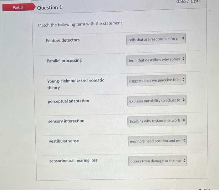 Solved Match the following term with the statement Feature | Chegg.com