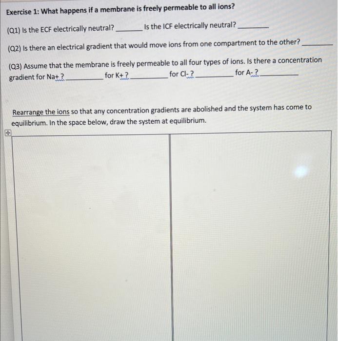 Solved Exercise 1: What happens if a membrane is freely | Chegg.com