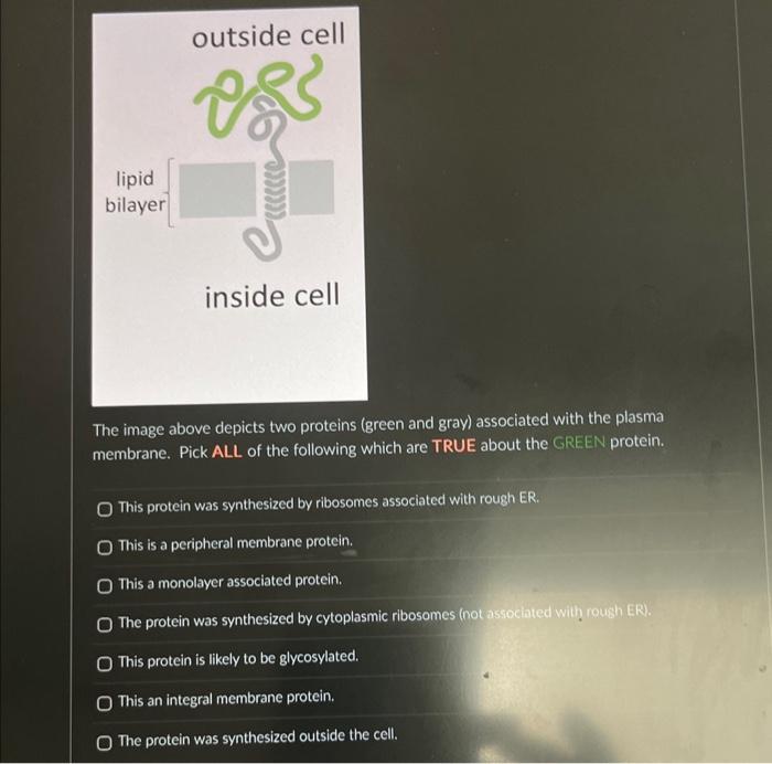 Solved outside cell lipid bilayer inside cell The image | Chegg.com