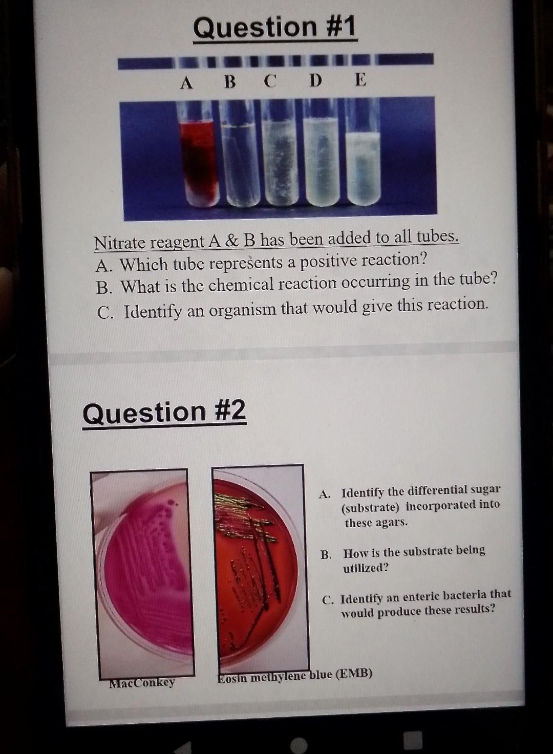 Solved Question #1 A B C D E Nitrate reagent A & B has been | Chegg.com