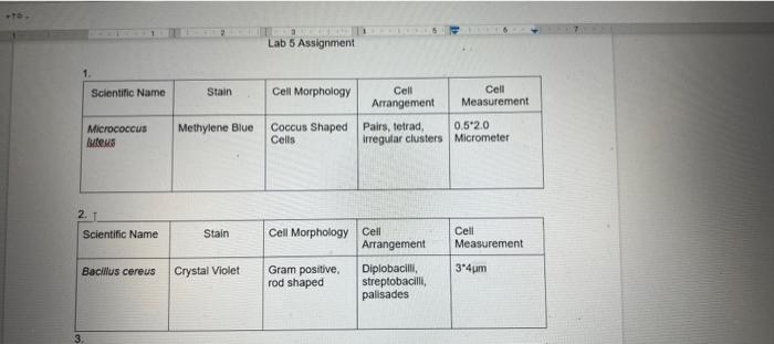 Solved Lab 5 Assignment Scientific Name Stain Cell | Chegg.com