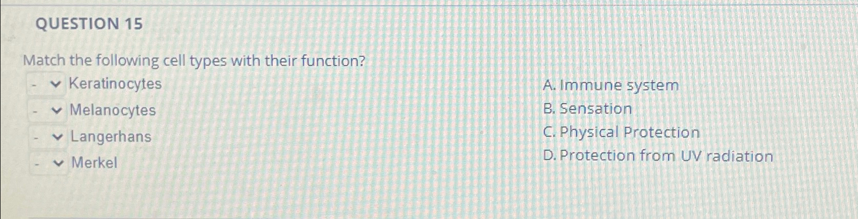 Solved QUESTION 15Match the following cell types with their | Chegg.com