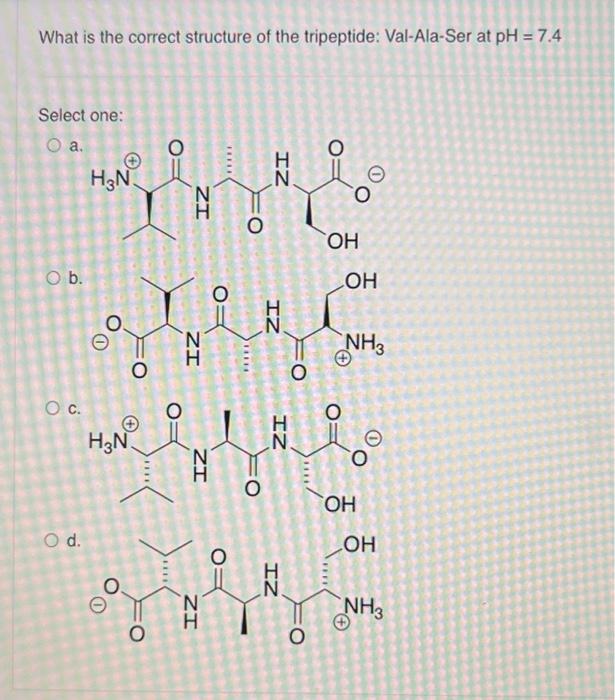 Solved What is the correct structure of the tripeptide: | Chegg.com
