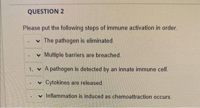 Solved Please put the following steps of immune activation | Chegg.com