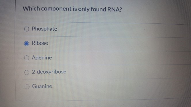 Solved Which enzyme is responsible for cleaving DNA? O | Chegg.com
