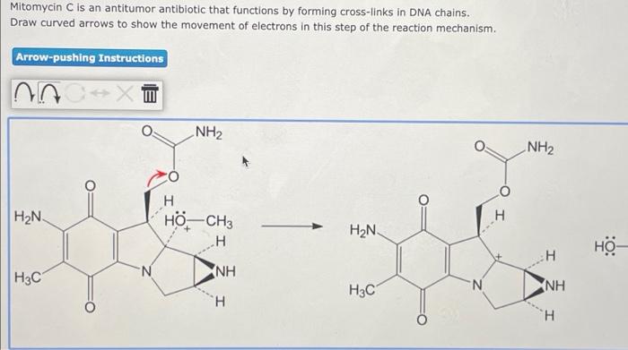 Solved Mitomycin C is an antitumor antibiotic that functions | Chegg.com