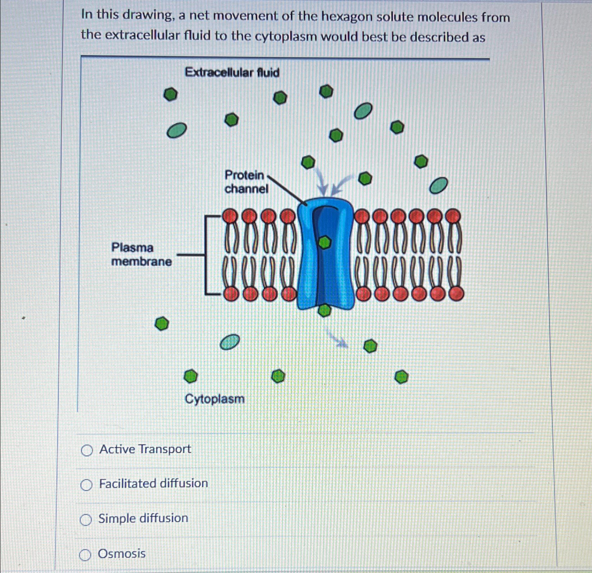 Solved In this drawing, a net movement of the hexagon solute | Chegg.com