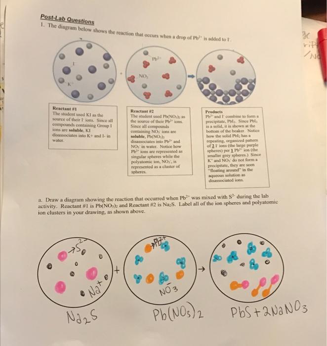 Solved 2) select 10 different precipitate that form during | Chegg.com