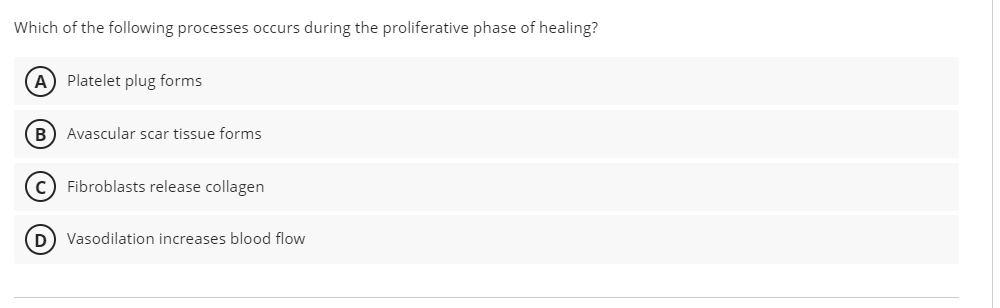 Solved Which of the following processes occurs during the | Chegg.com