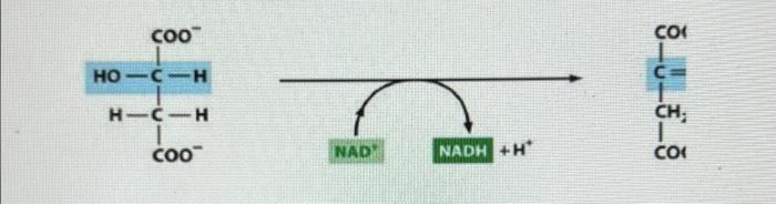Solved is the chemical reaction below A. Kinase B. mutase C. | Chegg.com