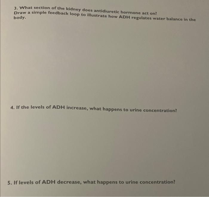 Solved 3. What section of the kidney does antidiuretic | Chegg.com