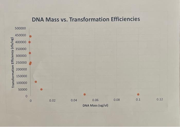 Solved Looking at this graph, at what point is the | Chegg.com