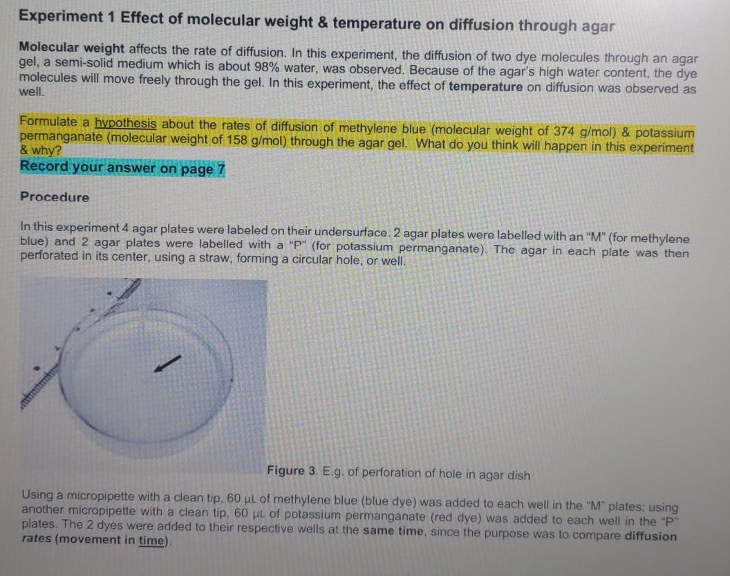 Solved Experiment 1 Effect of molecular weight & temperature | Chegg.com
