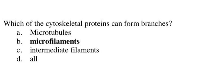 Solved Which of the cytoskeletal proteins can form branches? | Chegg.com