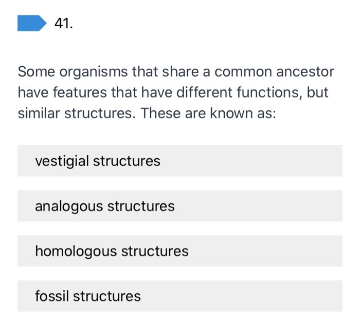 Solved 40. What is suggested by the similarity of early | Chegg.com