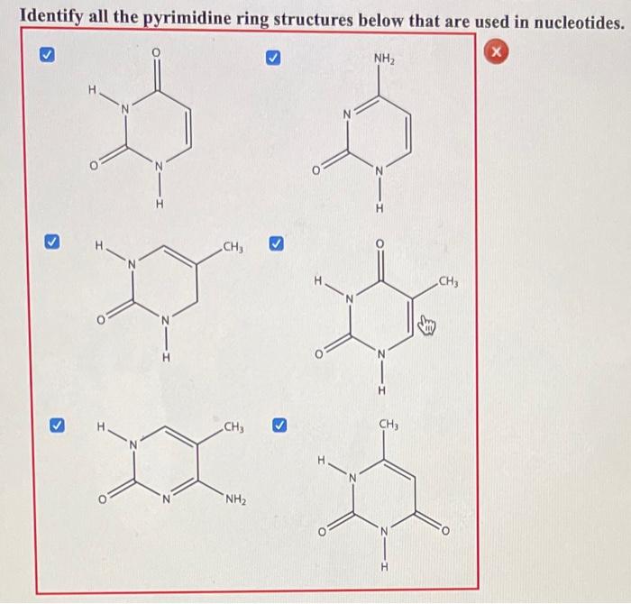 Solved Identify all the pyrimidine ring structures below | Chegg.com