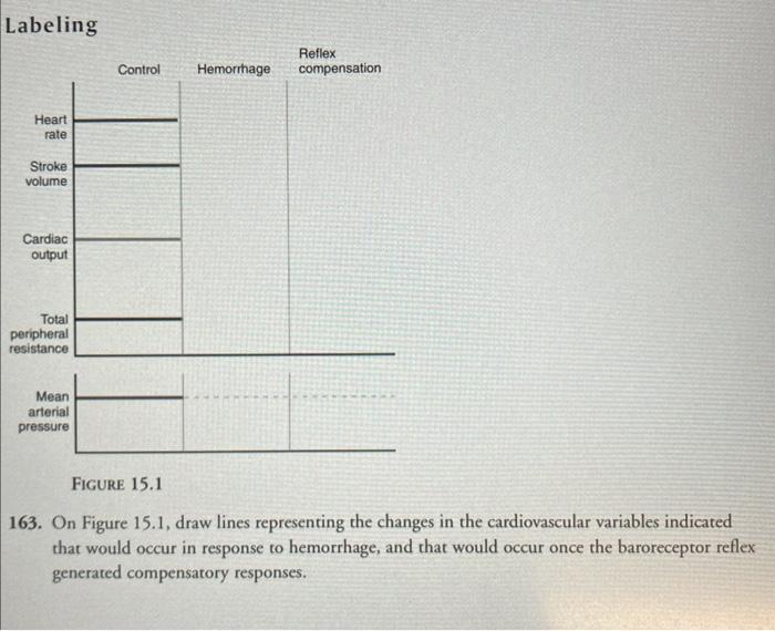 Labeling FigURE 15.1 163. On Figure 15.1, draw lines | Chegg.com