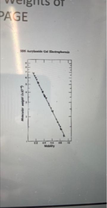 analyze the SDS-page, make a table and determine the | Chegg.com