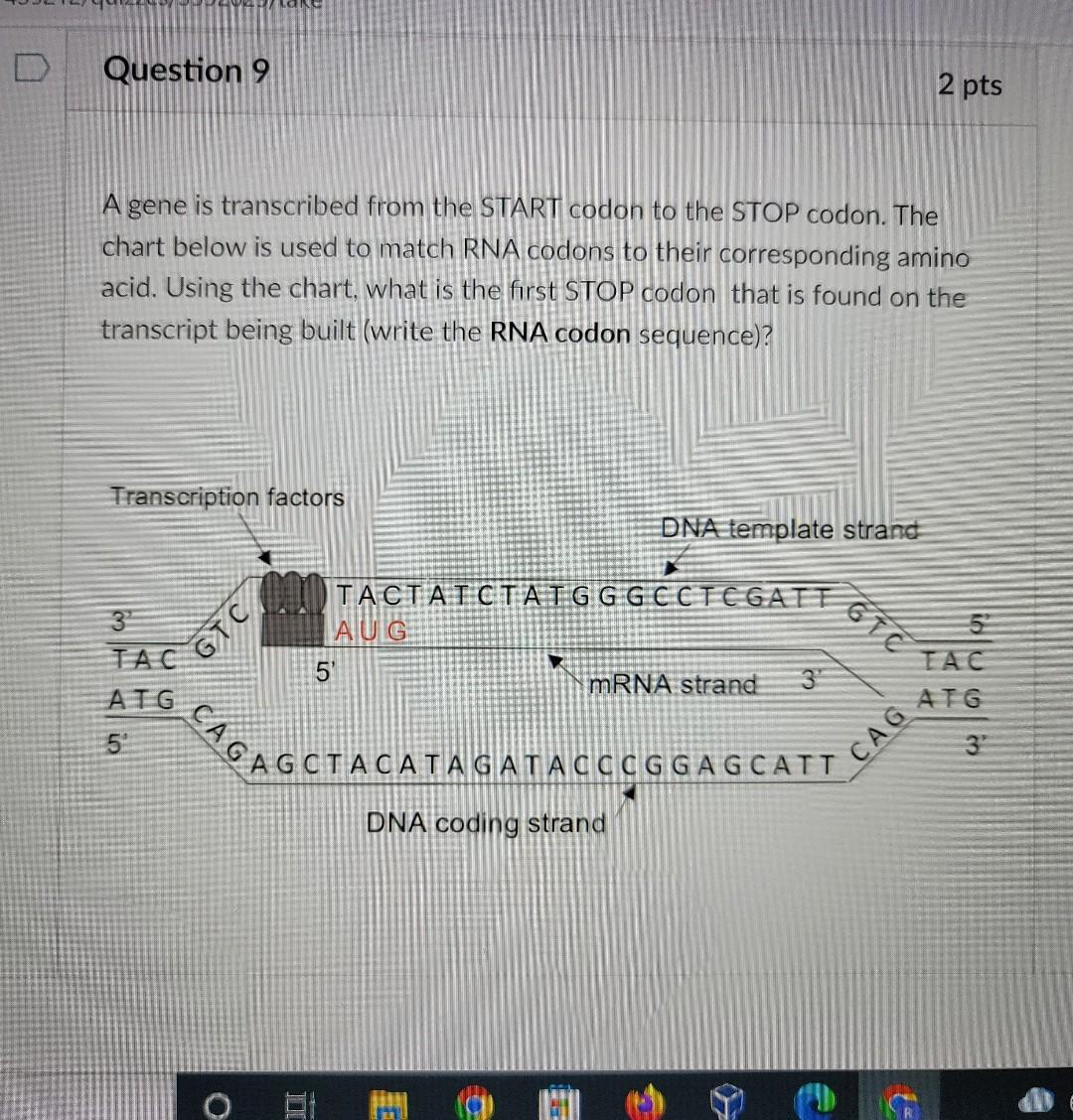 Solved Question 9 2 pts A gene is transcribed from the START | Chegg.com
