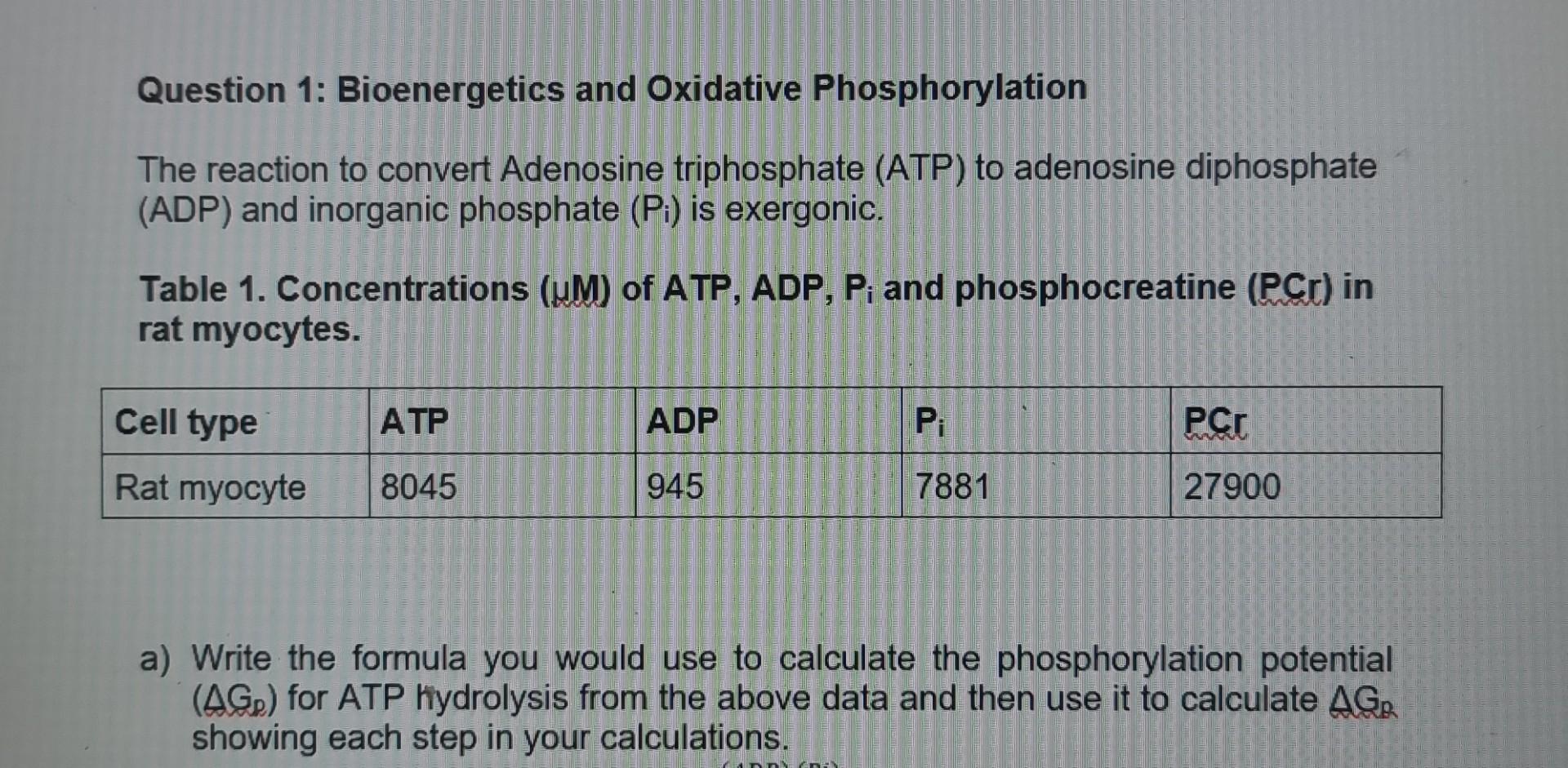 Solved Question 1: Bioenergetics and Oxidative | Chegg.com