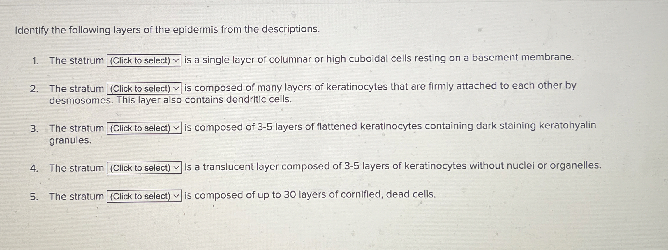 Solved Identify the following layers of the epidermis from | Chegg.com