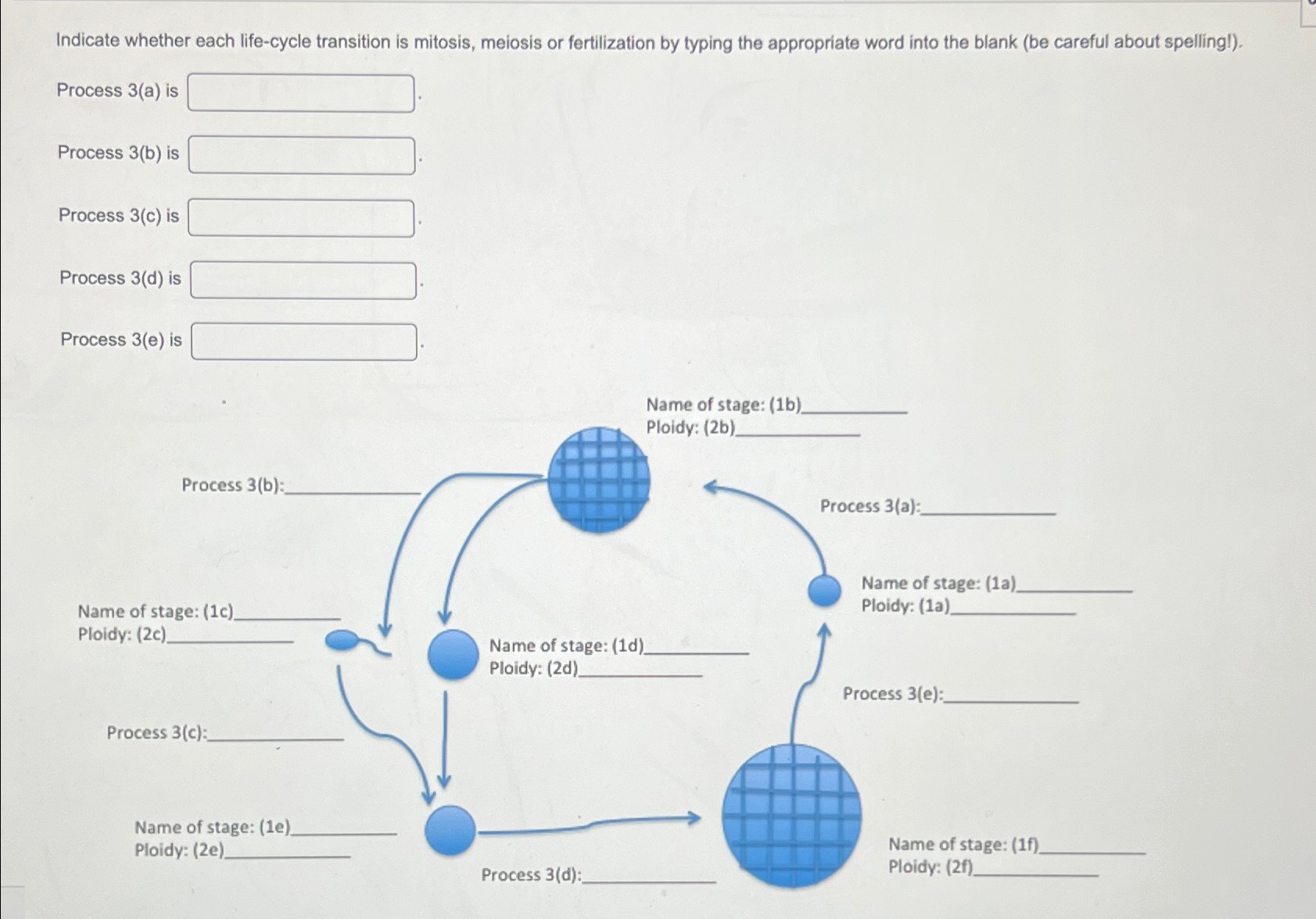 Solved Indicate whether each life-cycle transition is | Chegg.com