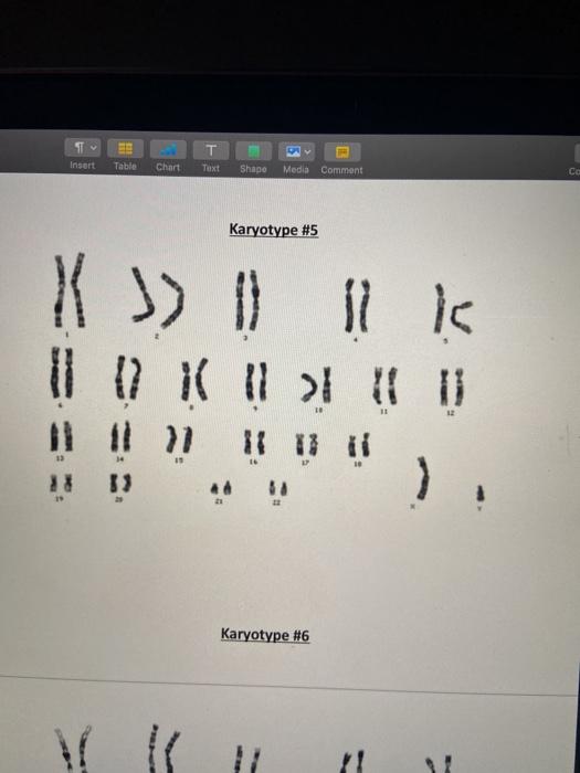Solved Problem: The genetics lab has mixed up the karyotypes | Chegg.com