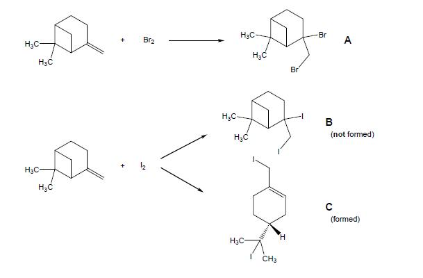 Solved β-Pinene reacts with molecular chlorine and bromine | Chegg.com
