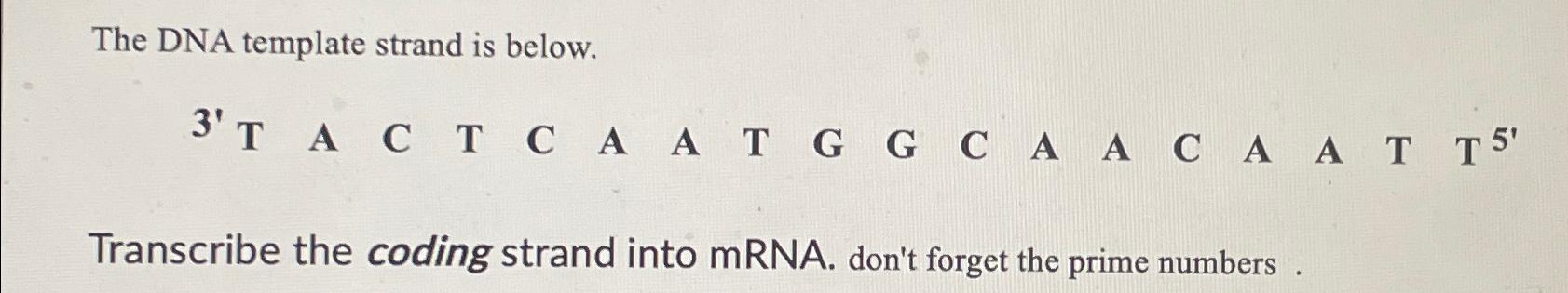 Solved The DNA template strand is below.Transcribe the | Chegg.com